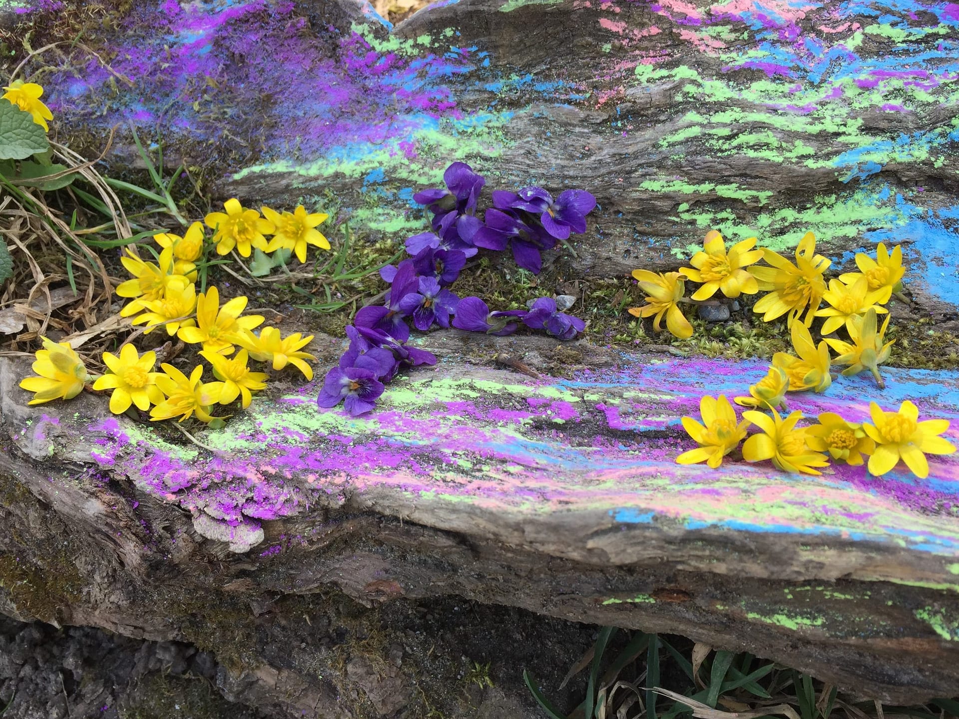 Leitbild – SFZ München Mitte 2